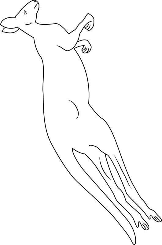 Kangaroo Jumping Coloring Page Coloring Pages