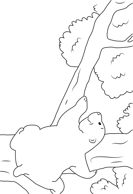 Climb Tree Colouring Pages Sketch Coloring Page
